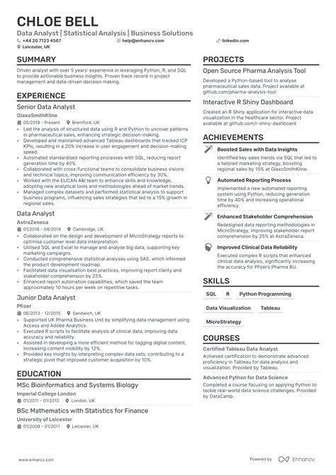 Senior Data Analyst CV Examples Guide For 2024