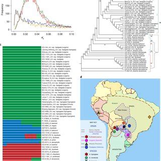 Evolutionary History Of Peanut A Ks Distributions Of Gene Pairs In