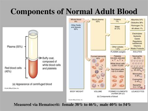 Hematocrit Hct Low Test High Low And Normal