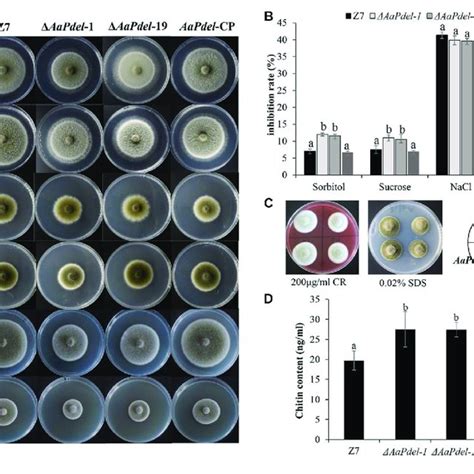 Effect Of Osmotic Stress Oxidative Stress And Cell Wall Stress A