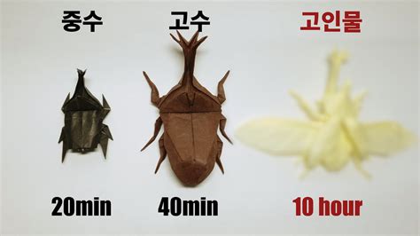 종이 한장으로 장수풍뎅이 접기 3단계 종이접기 Origami Beetle 20min 10hour YouTube