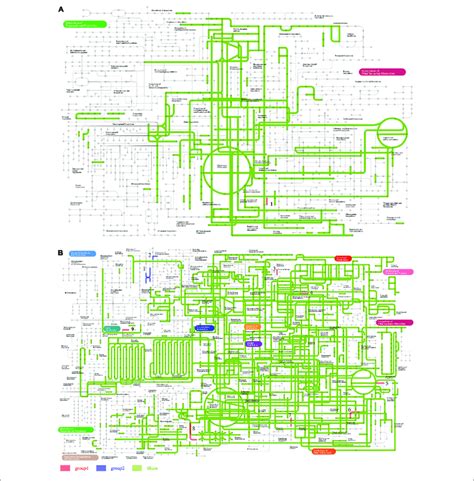 Comparison Of Ipath Metabolic Pathways Between Fbt Type Communities