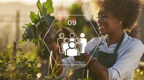 Icmm Community Resilience