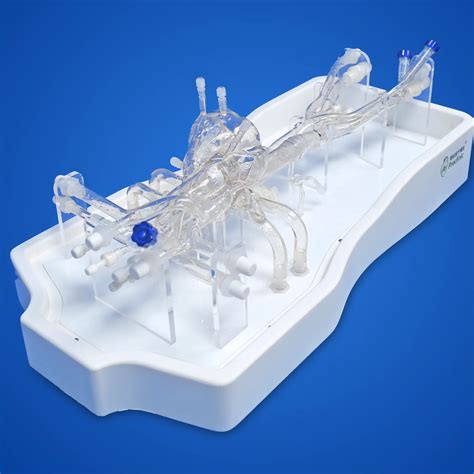 Cardiac Surgery Simulator Simulator Cardiaccardiac Simulator Supply