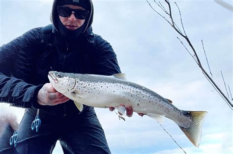 KINETIC FISKECUP EN FLOT HAVØRRED PÅ OPHÆNGEREN Fisk Fri