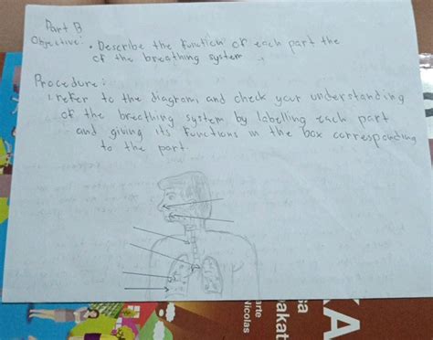 Part B Objuctive Describe The Function Of StudyX