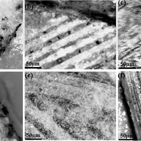 The Consequence Of 3d Printing Of Bone Implant Different Tpms Lattice Download Scientific