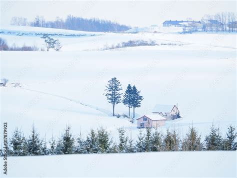 美瑛の風景 冬の赤い屋根の家 Stock Photo Adobe Stock