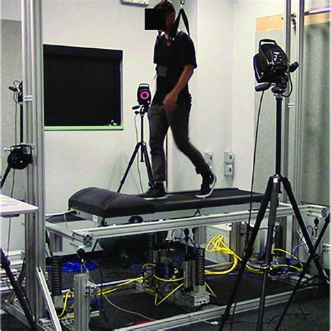 The Oscillating Platform And Walking Subject A 6 Camera Motion Capture