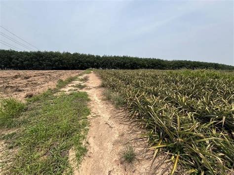 ขายที่ดินเขาคันทรงศรีราชาชลบุรี เนื้อที่ 64ไร่ 1 งาน 3 ตรว ผังม่วงลาย Ennxo