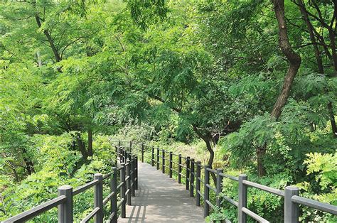안산 중턱을 한 바퀴 도는 7km의 무장애길 서대문구 안산 자락길 네이버 포스트