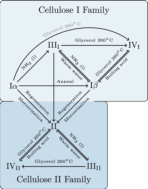 Crystal Allomorphs In Cellulose And Common Pathways For Conversion