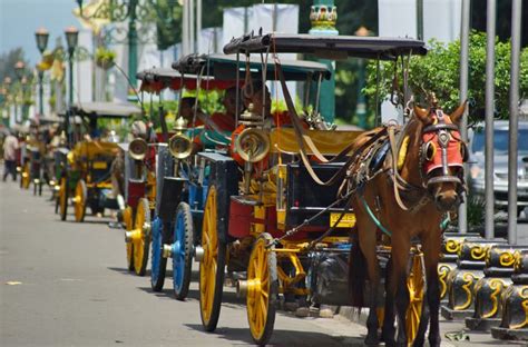 Jogja Akan Punya Andong Online Akan Dikenalkan Di Malioboro Night