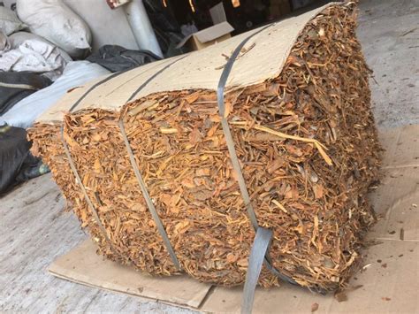 Pressed Broken Cassia Phuhung Imex Co Ltd