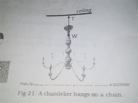 For Question Numbers 4 6 Refer To Figure 21 4 Are The Forces Acting
