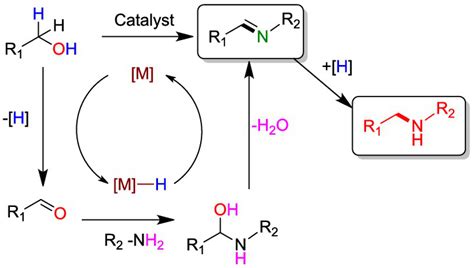 Transition Metal Catalyzed Acceptorless Dehydrogenative Coupling Adc
