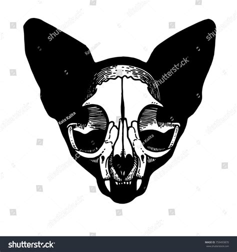 Skull Cat Cat Silhouette Tattoo Symbol 库存矢量图（免版税）759493870 Shutterstock
