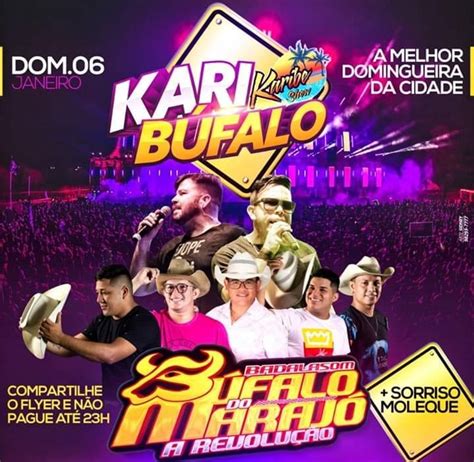 Cd Ao Vivo Bufalo Do Marajó A Revolução Karibe Show 06 01 2019 Djs