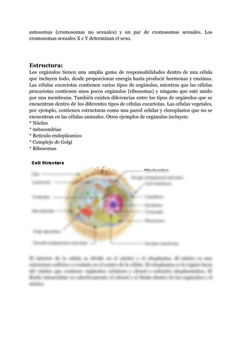 SOLUTION Todo Sobre C Lulas Parte Studypool