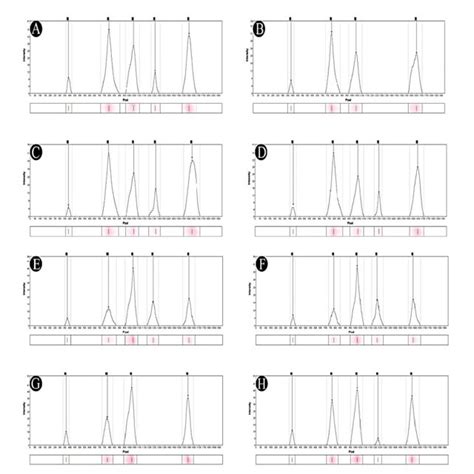 Band Intensity Based Analysis Of Figure 3 Showing Precise Position Of Download Scientific