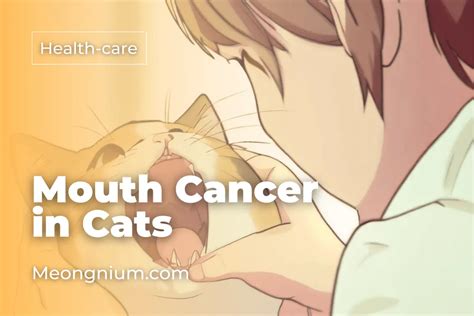 Mouth Cancer In Cats When To Euthanize A Guide