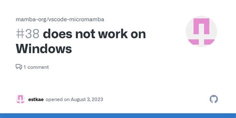 Does Not Work On Windows · Issue 38 · Mamba Orgvscode Micromamba · Github