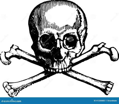 Skull And Crossbones Sketch Stock Illustration Illustration Of
