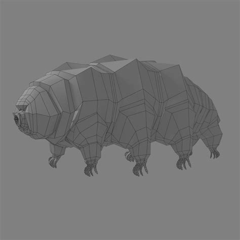 Extremophile Tardigrade Macrobiotus Sapiens Obj