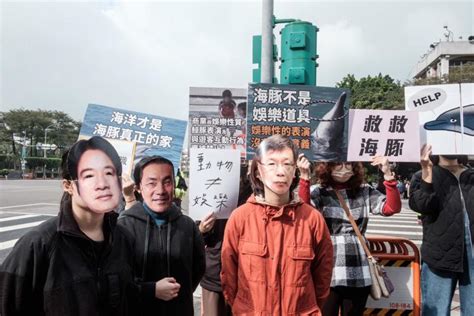 讓海豚恢復自由 依野保法應禁止鯨豚表演