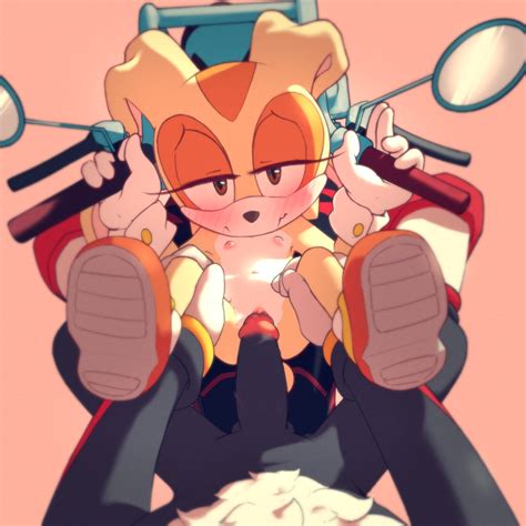 Cream The Rabbit Shadow The Hedgehog