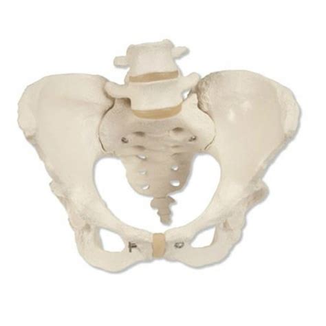 병의원용품 의료소모품 진료재료 장비 전문유통 다산메디칼 닥터엠알오