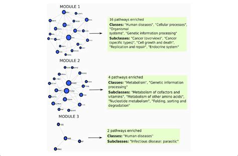 Clustered Pathway Enrichment Analysis Of The Msigdb Gene Set