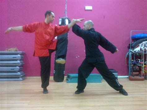Blog De La Escuela De Artes Marciales Tin Sing Kwun LA LEGENDARIA GRULLA