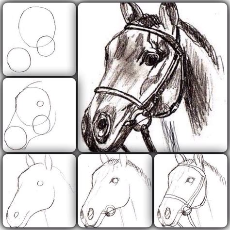 Paarden Na Tekenen Makkelijk Cartoon Paard Tekenen St