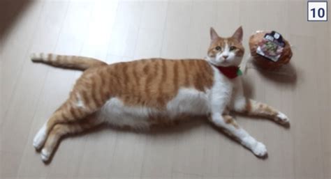 일반인들은 모르는 연예인 협찬 의상의 비밀