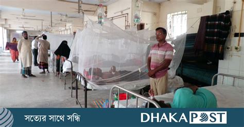 একদিনে ডেঙ্গুতে আরও ৪ জনের মৃত্যু শনাক্ত ৬৬০