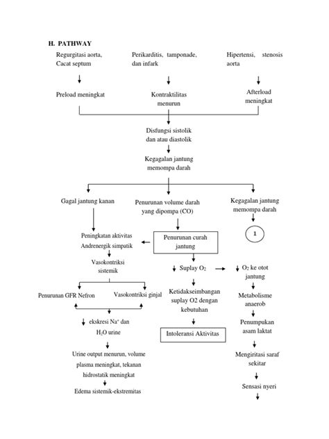 Pathway Adhf Pdf