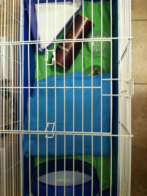 My Two Cage Set Up I Would Love To See All Of Yours Rhedgehog