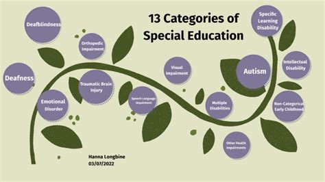 13 Categories Of Special Education By Hanna Longbine On Prezi