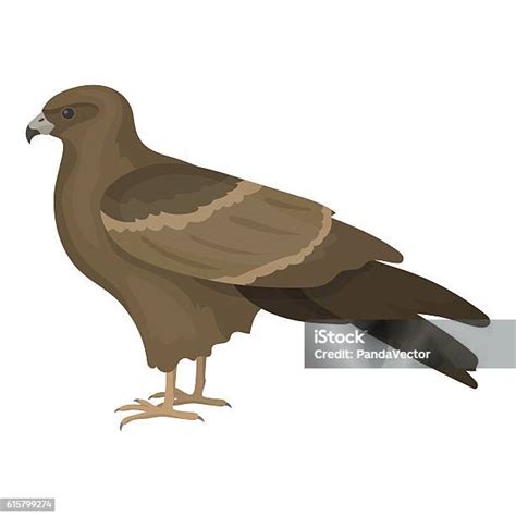 Icône Cerfvolant Dans Le Style Dessin Animé Isolé Sur Fond Blanc Oiseau