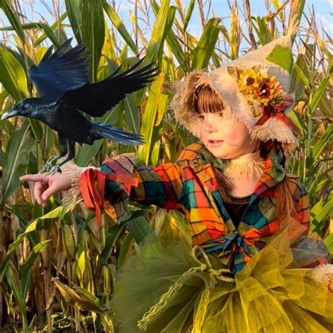 Crowns King Crown Overlay Photoshop Overlays For Photographers