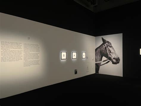 4檔台灣藝術家個展齊聚「伊日藝術計劃」：ai逆生成、模擬科幻自然，以雕塑、新媒體、空間裝置等多元媒介引發當代思索 La Vie