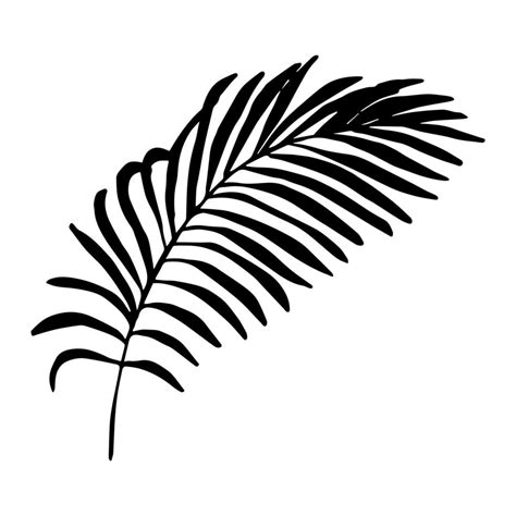 Simple Tropical Leaf Illustration Hand Drawn Vector Clipart Botanical