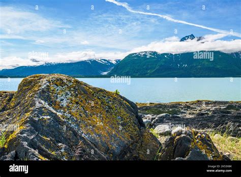 View Of Chilkat Inlet Davidson Glacier And Glacier Bay National Park