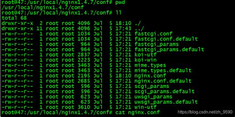 Nginx，采用代理解决数据篡改代理篡改网页内容 Csdn博客