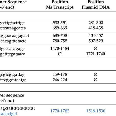 Rt And Pcr Primer Sequences List Of Primers Used For The Rt And Qpcr