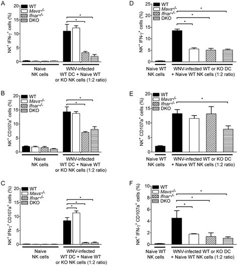 Type I Ifn Functions In A Cell Intrinsic Manner To Regulate Nk Cell