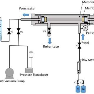 Gas Testing Setup Design Download Scientific Diagram