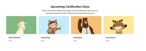 Free Salesforce Training Resources For Beginners Phaneendra Arigachetta