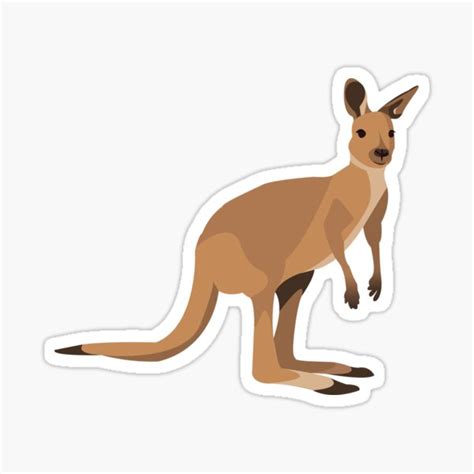 Kangaroo Merch And Ts For Sale Redbubble